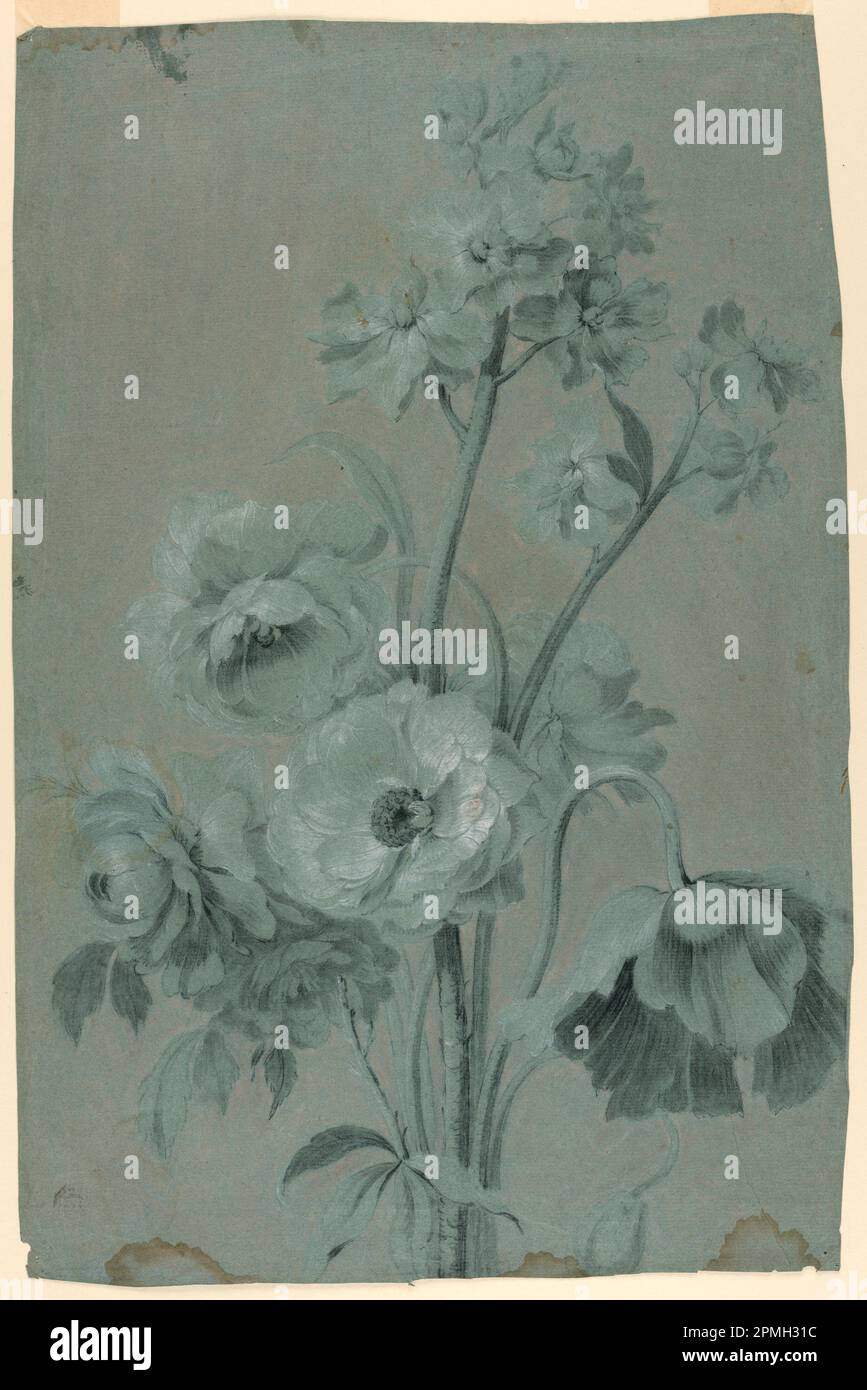 Drawing, Floral Design; France; black, white, and taupe crayon, brush ...