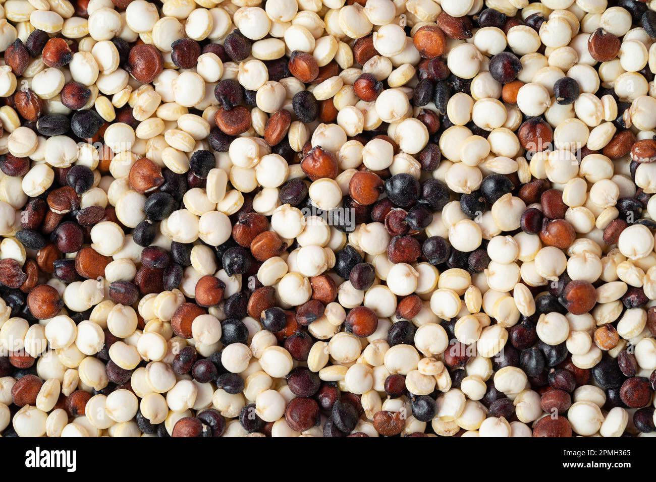 Mixed quinoa texture. Top view, macro shot Stock Photo - Alamy