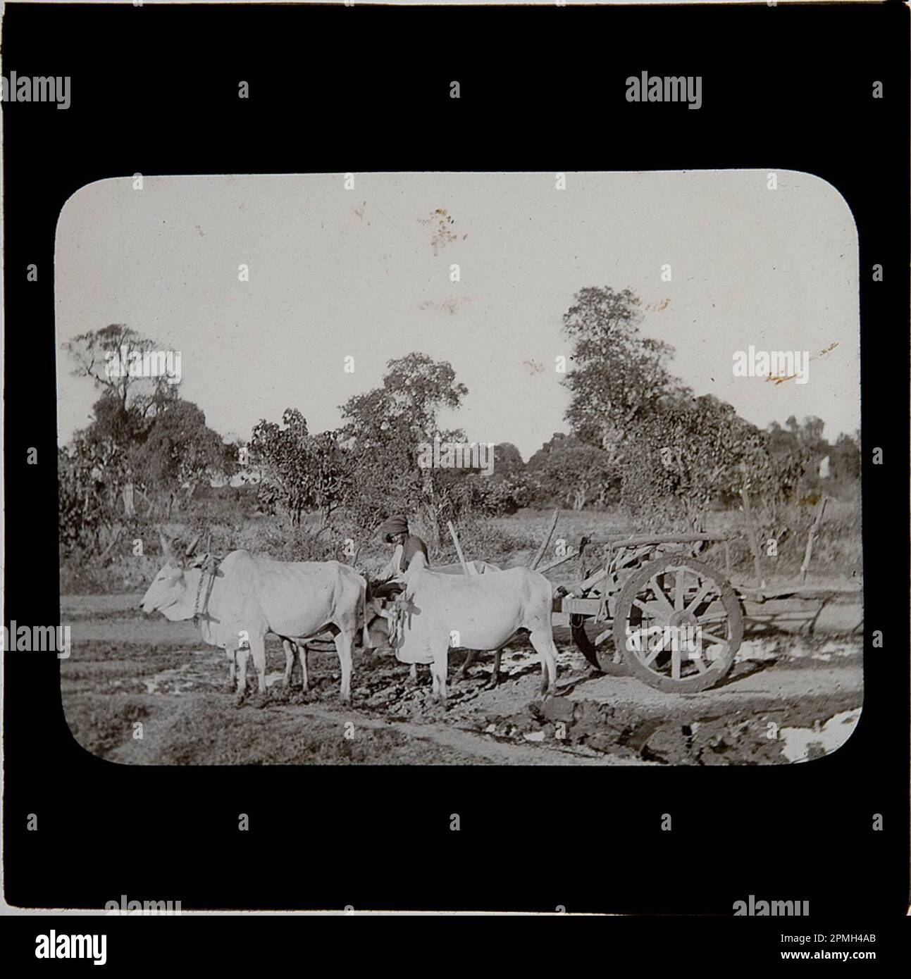 Bullock cart india hi-res stock photography and images - Alamy
