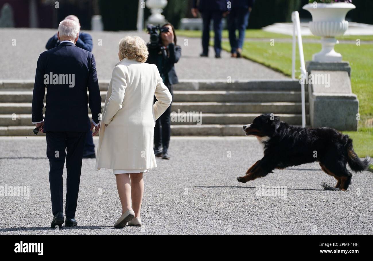 Joe biden dog hi-res stock photography and images - Alamy