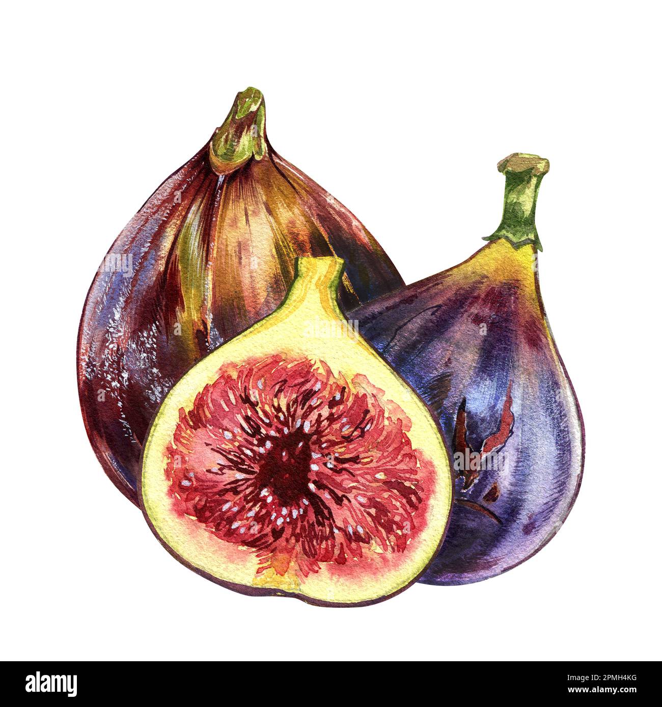 Composition ripe fig fruits and slice isolated on white background ...