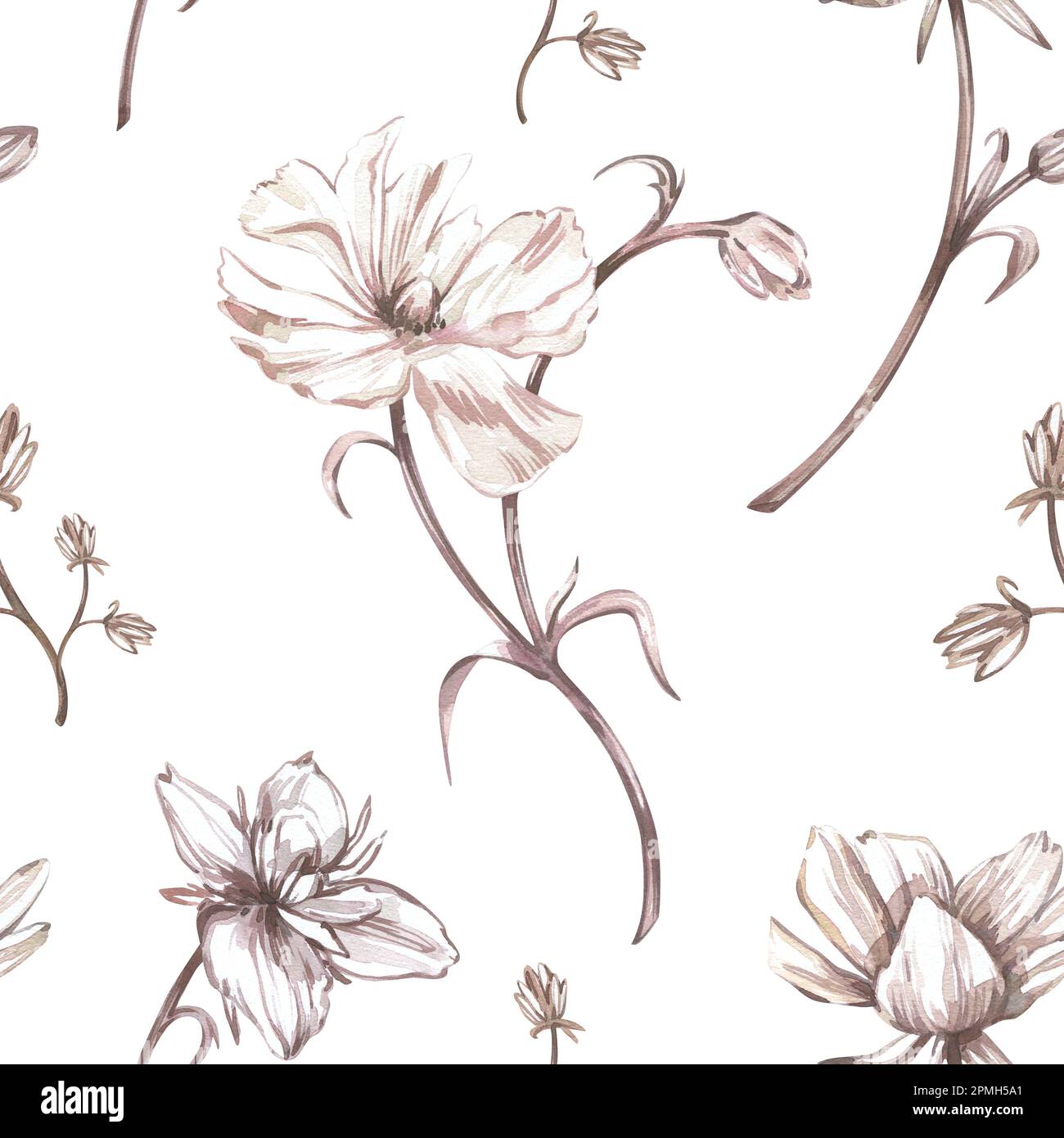 Seamless pattern ranunculus monochrome isolated on white background ...