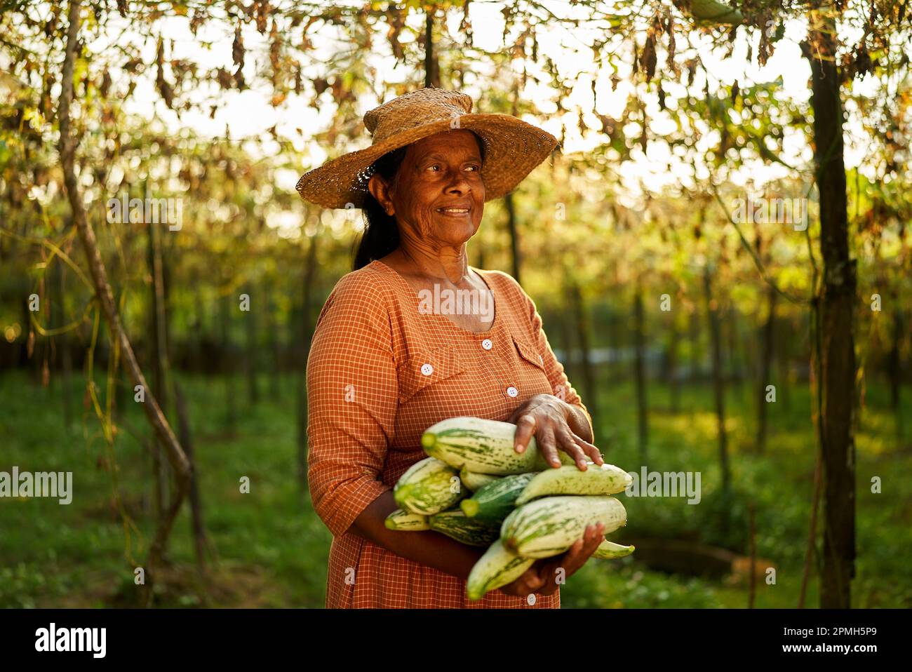 Elderly happy Indian female farmer in straw hat holding harvested ...