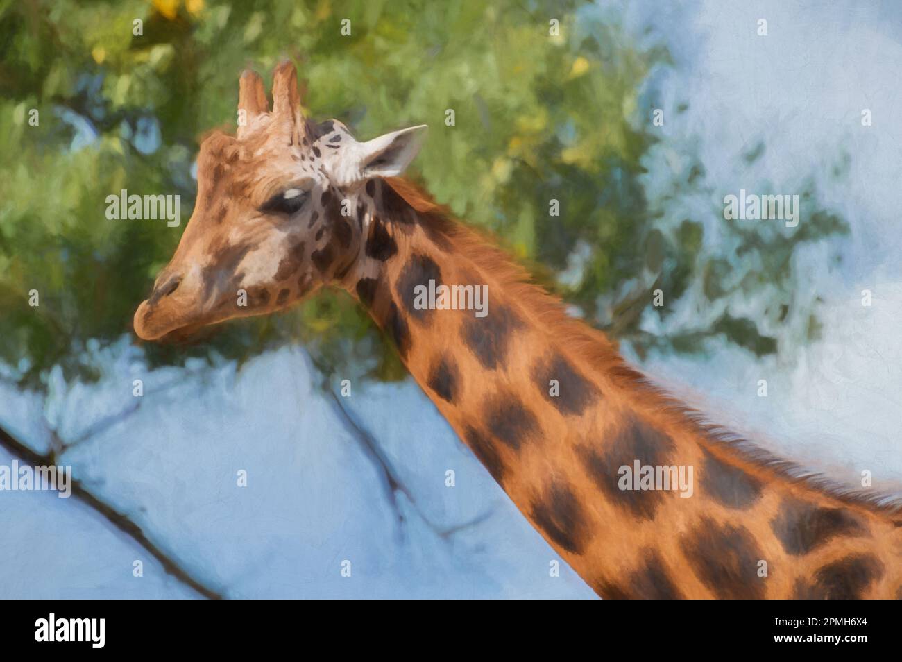 Digital painting of a giraffe head and neck against a blue sky with ...
