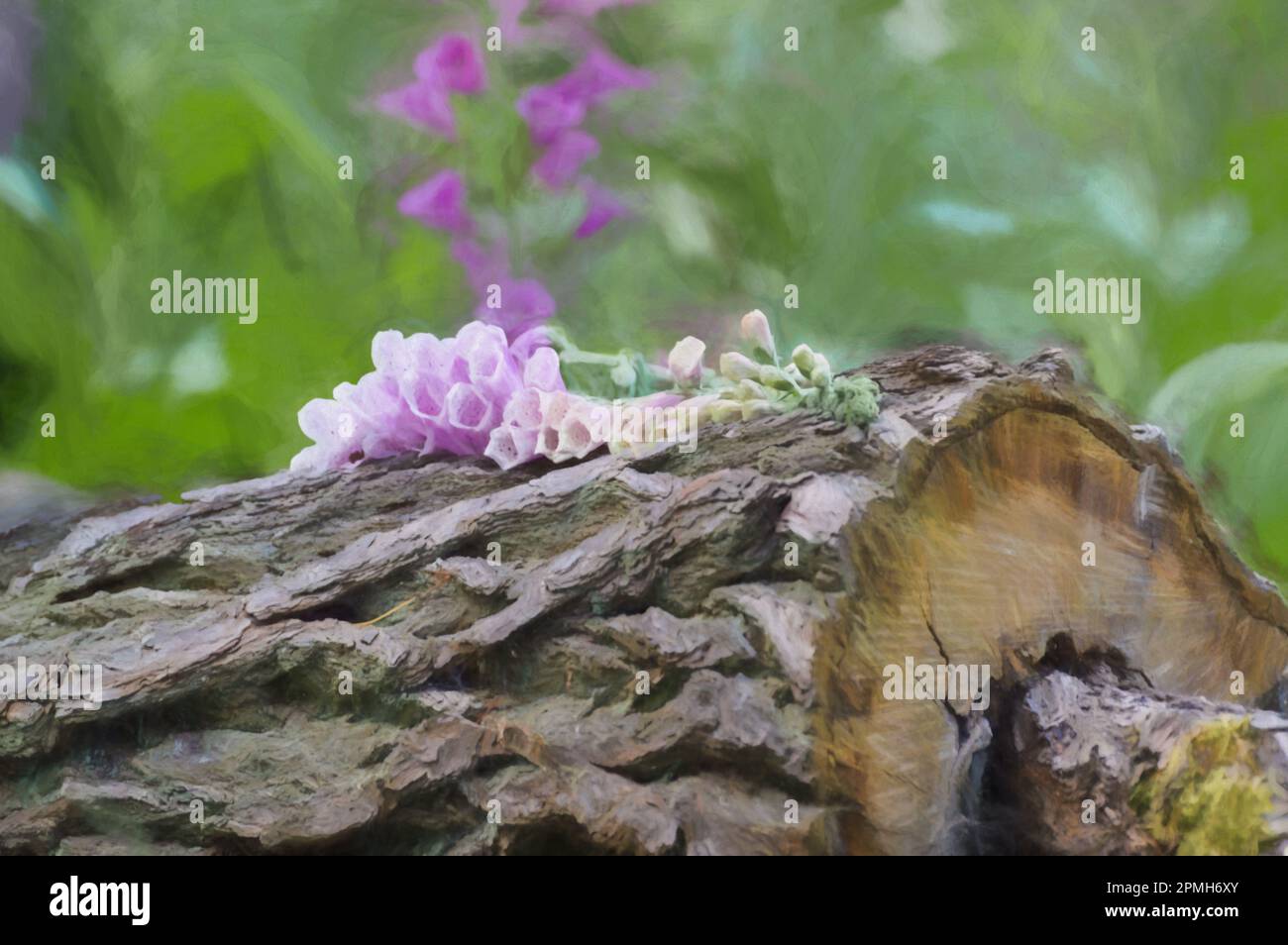 Digital painting of purple and white foxgloves draped across a tree ...