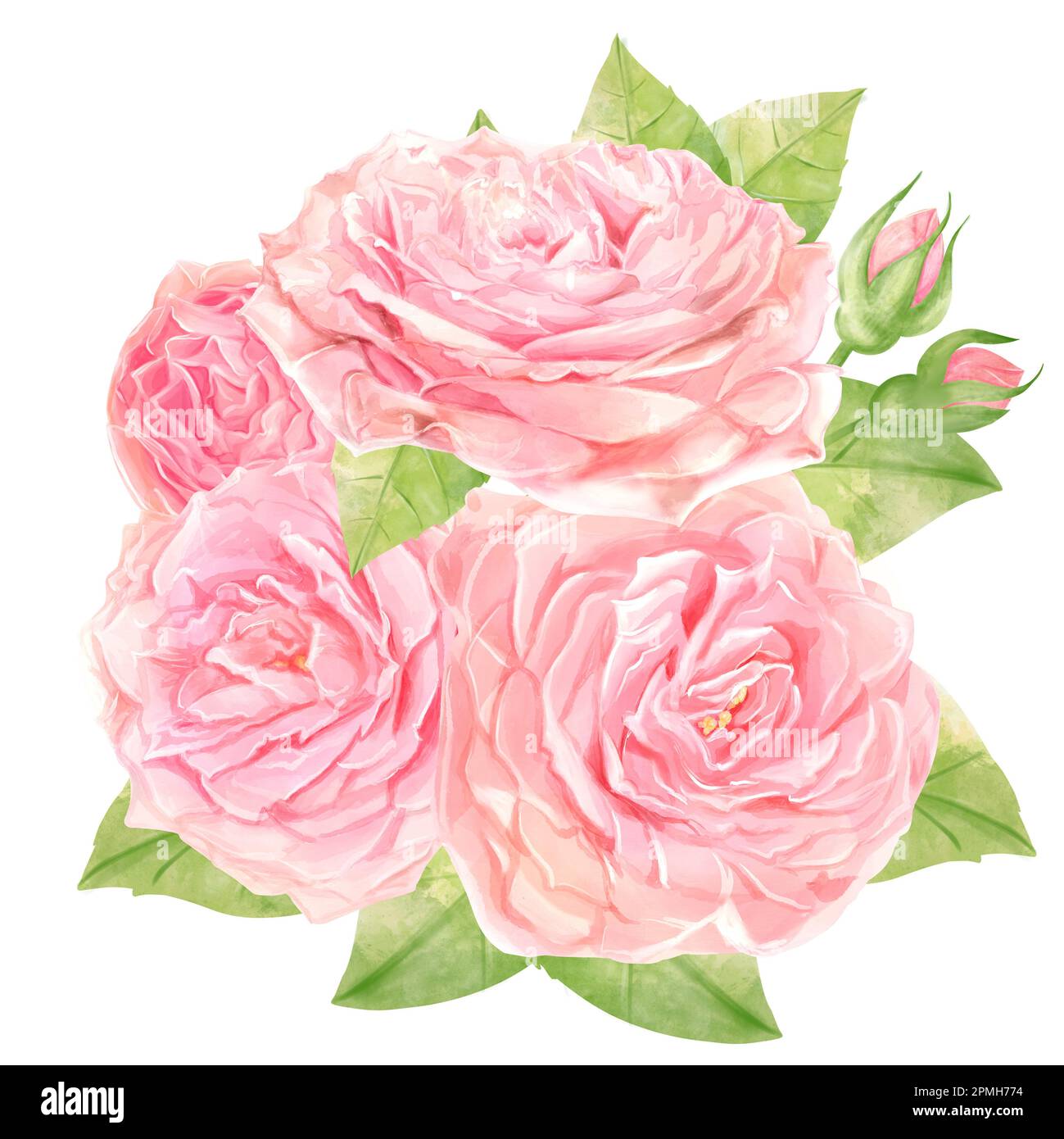 Beautiful watercolor flowers for your design and floral pattern with ...