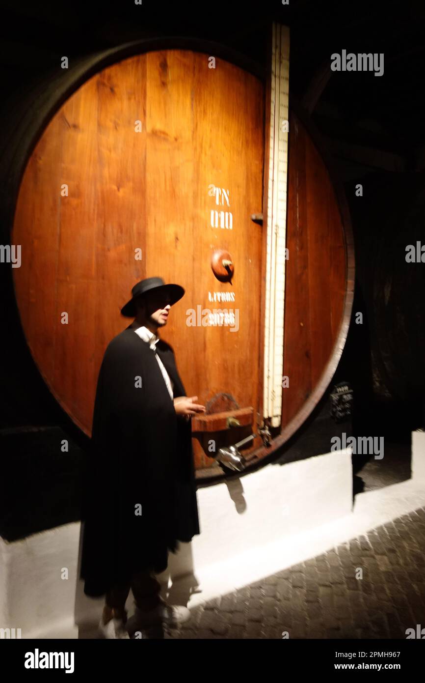 PORTO, PORTUGAL - OCTOBER 31, 2022 Sandeman Port cellars Stock Photo ...