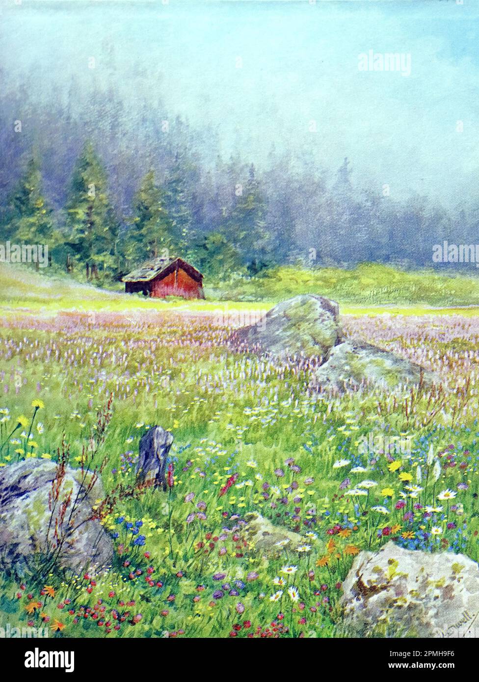 In the Early July fields at Champex, 1911, G. Flemwell. The Flower ...