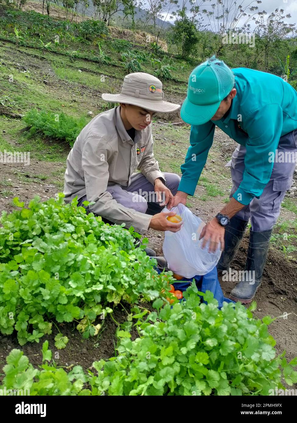 Arenal Volcano National Park, Costa Rica - A small farm on the flank of ...