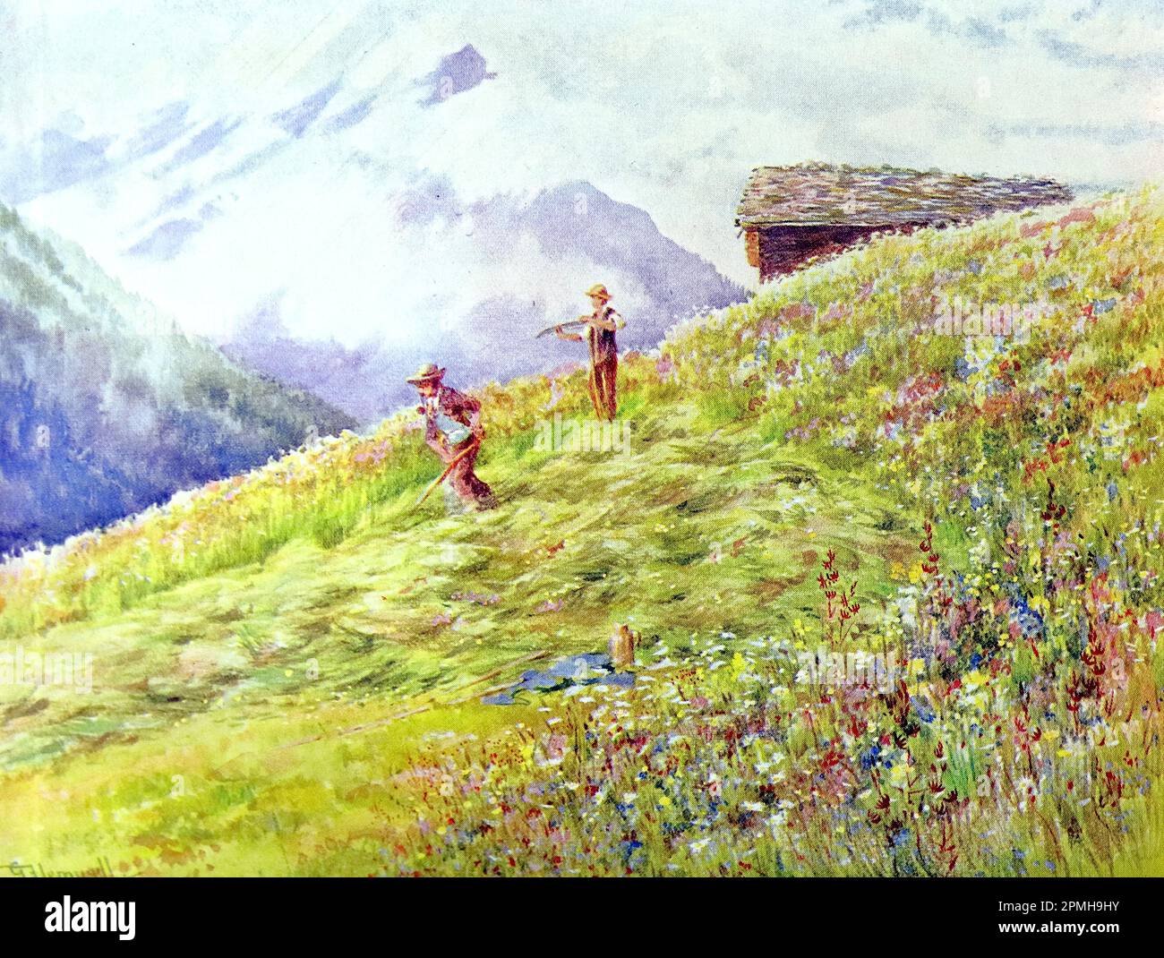 Haymaking at Champex, in the middle of July. 1911, G. Flemwell. The ...