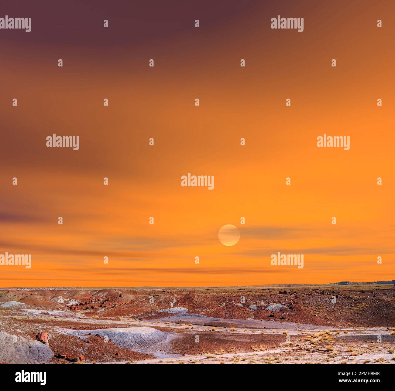 Sunset scenic landscape of ancient petrified forest in Arizona Stock ...