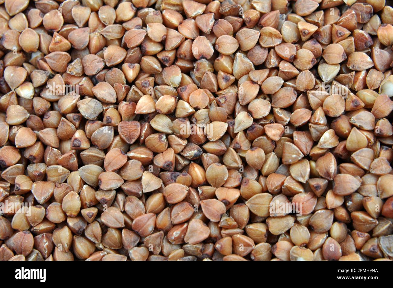 Background from dry threshed grains cereals buckwheat Stock Photo - Alamy