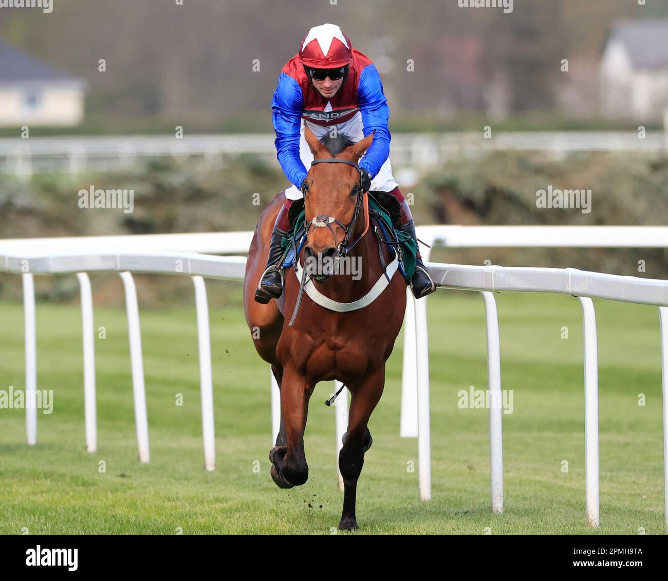 Famous clermont horse hi-res stock photography and images - Alamy