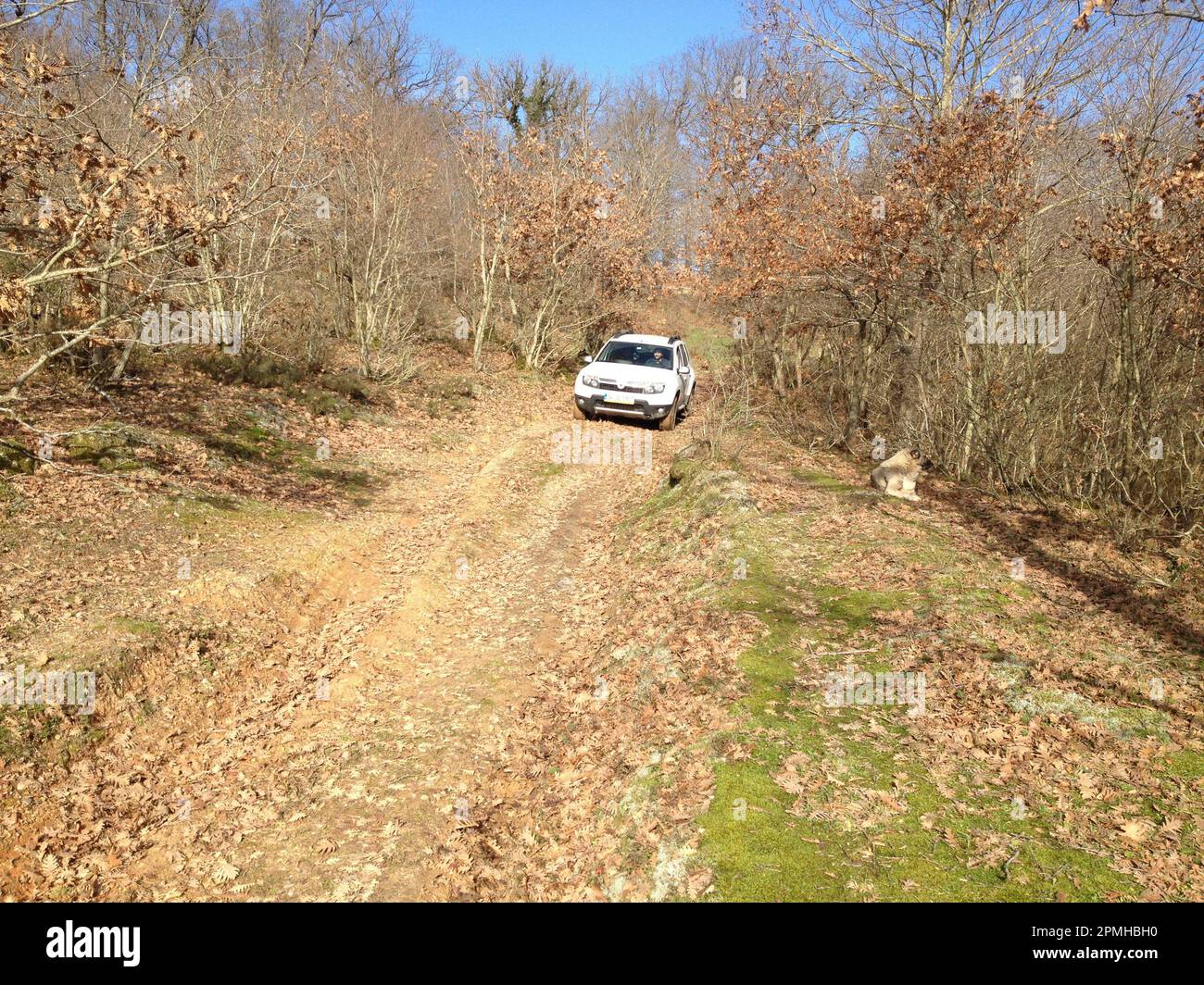 Rough roads hi-res stock photography and images - Alamy