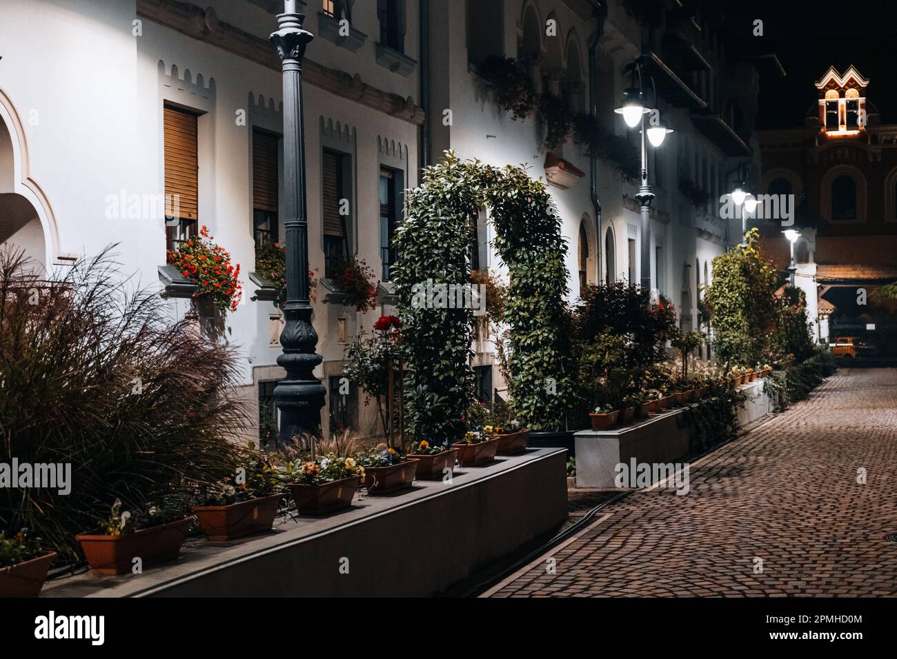 A courtyard decorated with potted plants Illuminated by a warm glow of ...