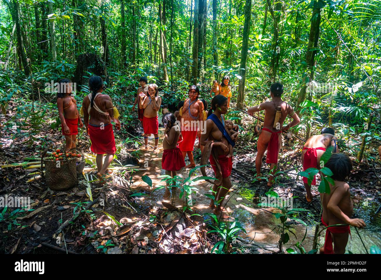 Yanomami Tribe Amazon Rainforest