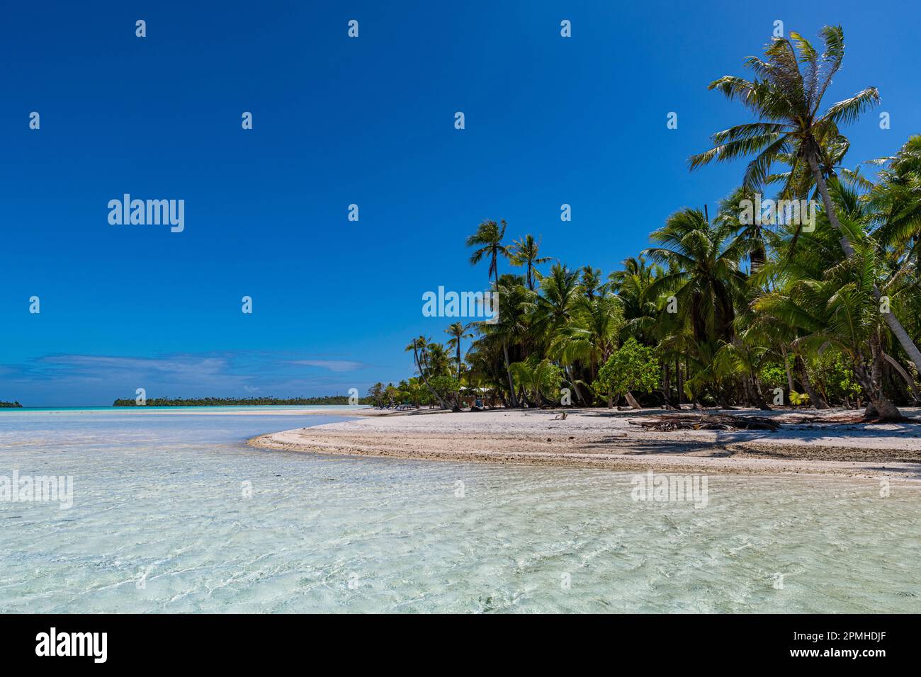 Palm fringed motu in the Blue Lagoon, Rangiroa atoll, Tuamotus, French ...