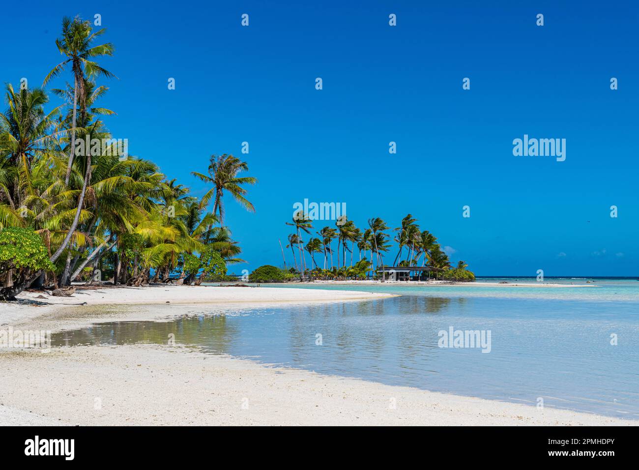 Palm fringed motu in the Blue Lagoon, Rangiroa atoll, Tuamotus, French ...