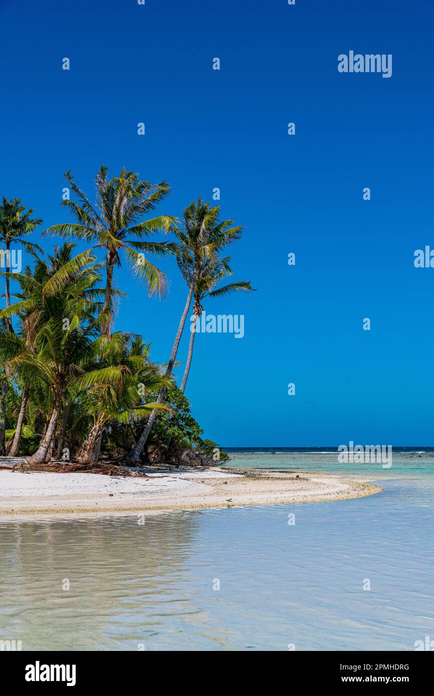 Palm fringed motu in the Blue Lagoon, Rangiroa atoll, Tuamotus, French ...