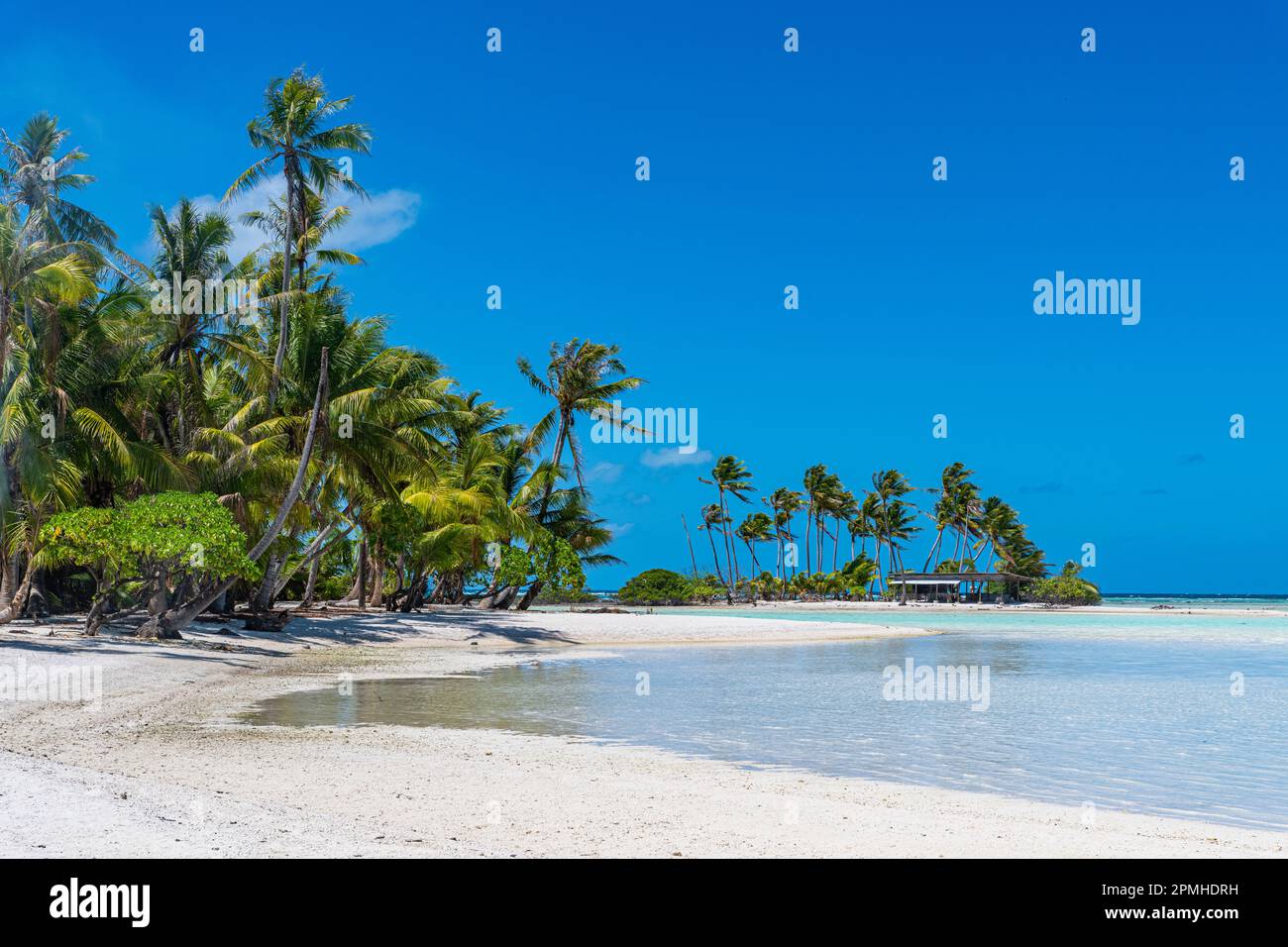 Palm fringed motu in the Blue Lagoon, Rangiroa atoll, Tuamotus, French ...