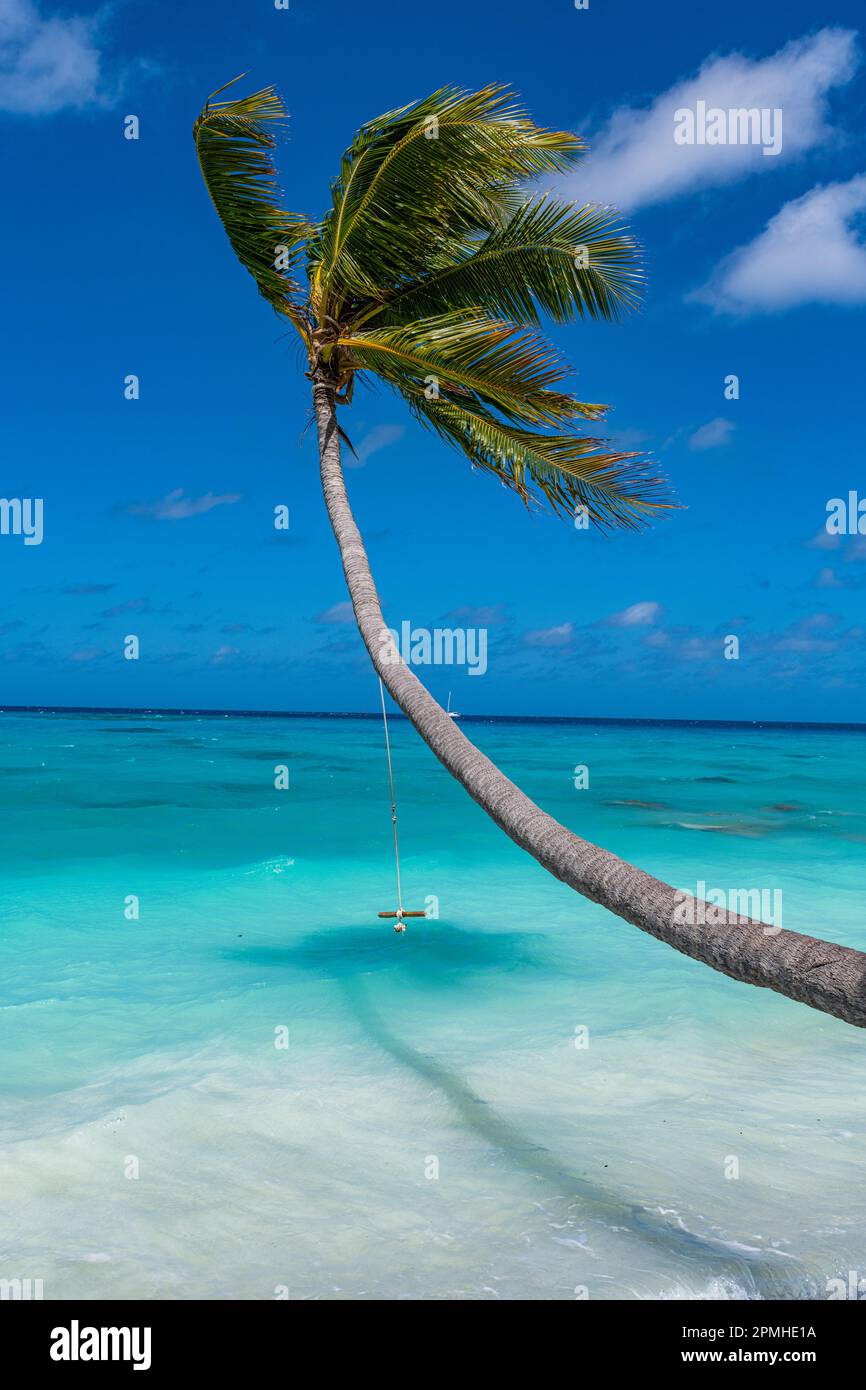 White sand PK-9 beach, Fakarava, Tuamotu archipelago, French Polynesia ...