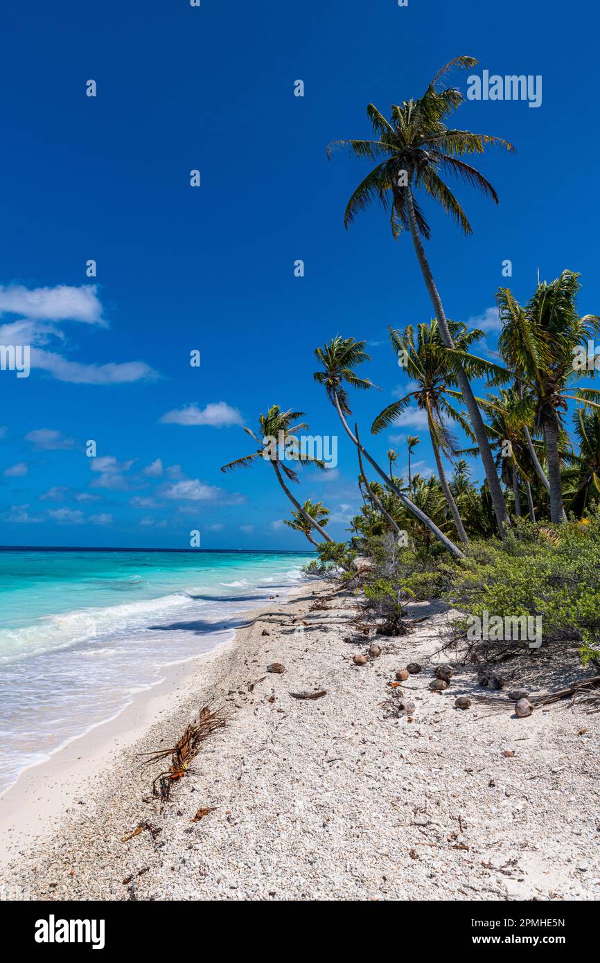 White sand PK-9 beach, Fakarava, Tuamotu archipelago, French Polynesia ...