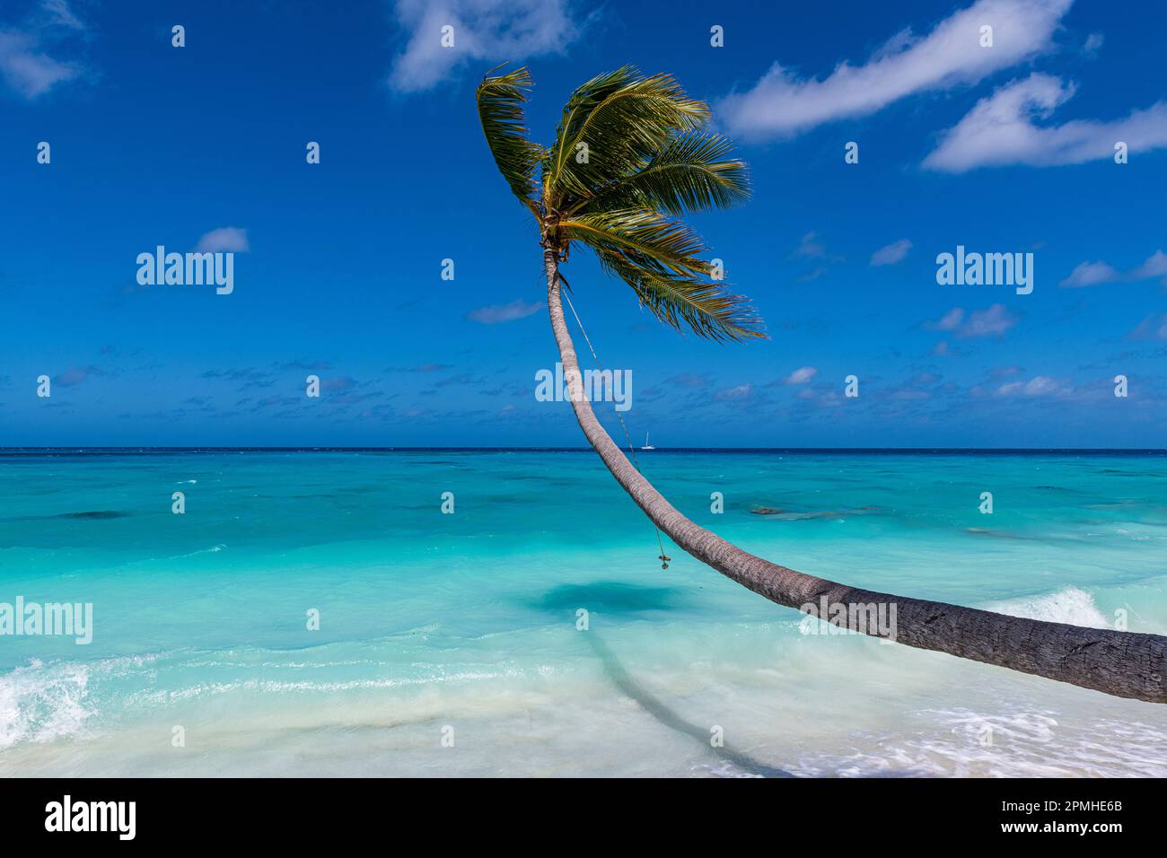 White sand PK-9 beach, Fakarava, Tuamotu archipelago, French Polynesia ...