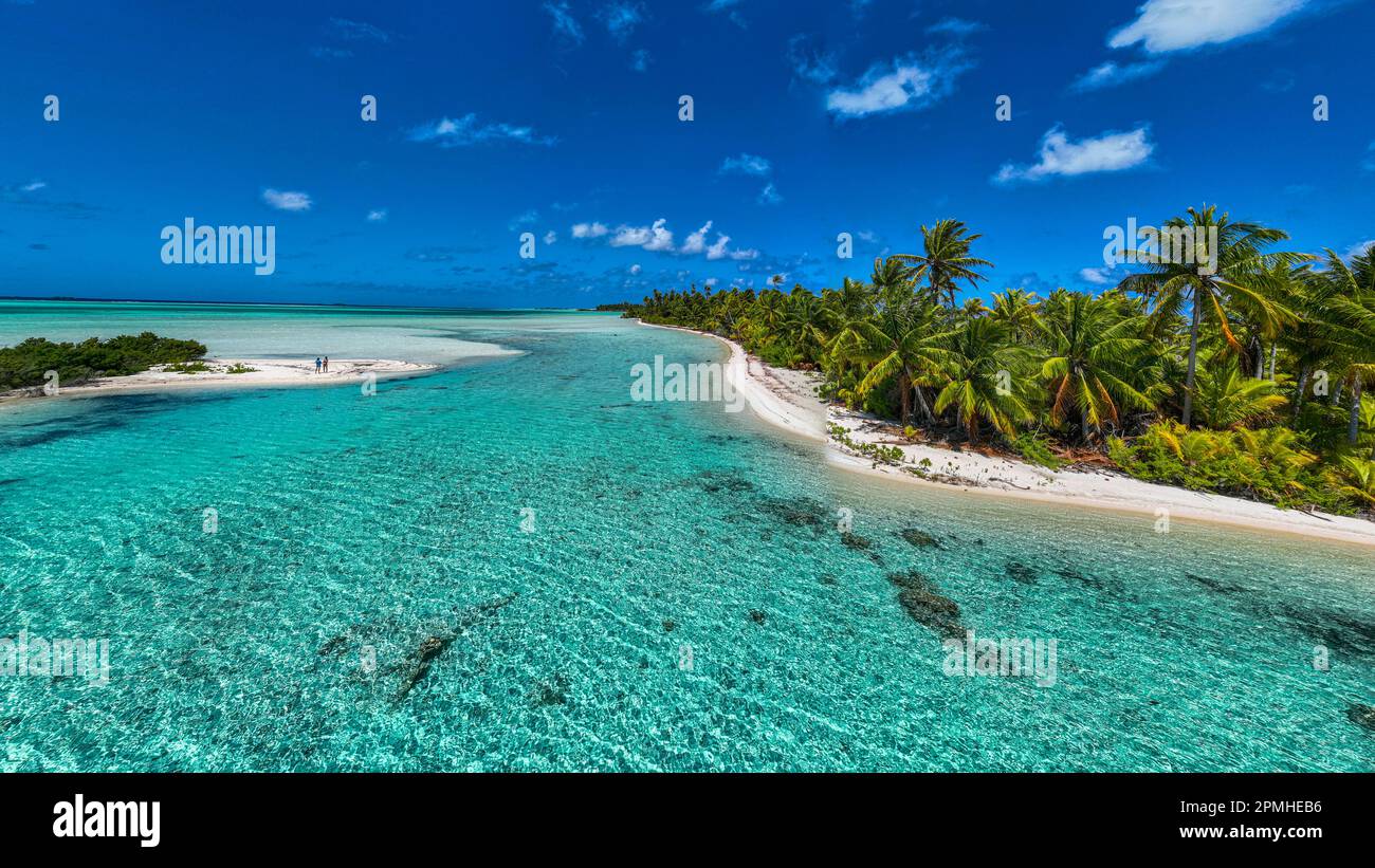 Palm trees at the blue lagoon, Fakarava, Tuamotu archipelago, French ...