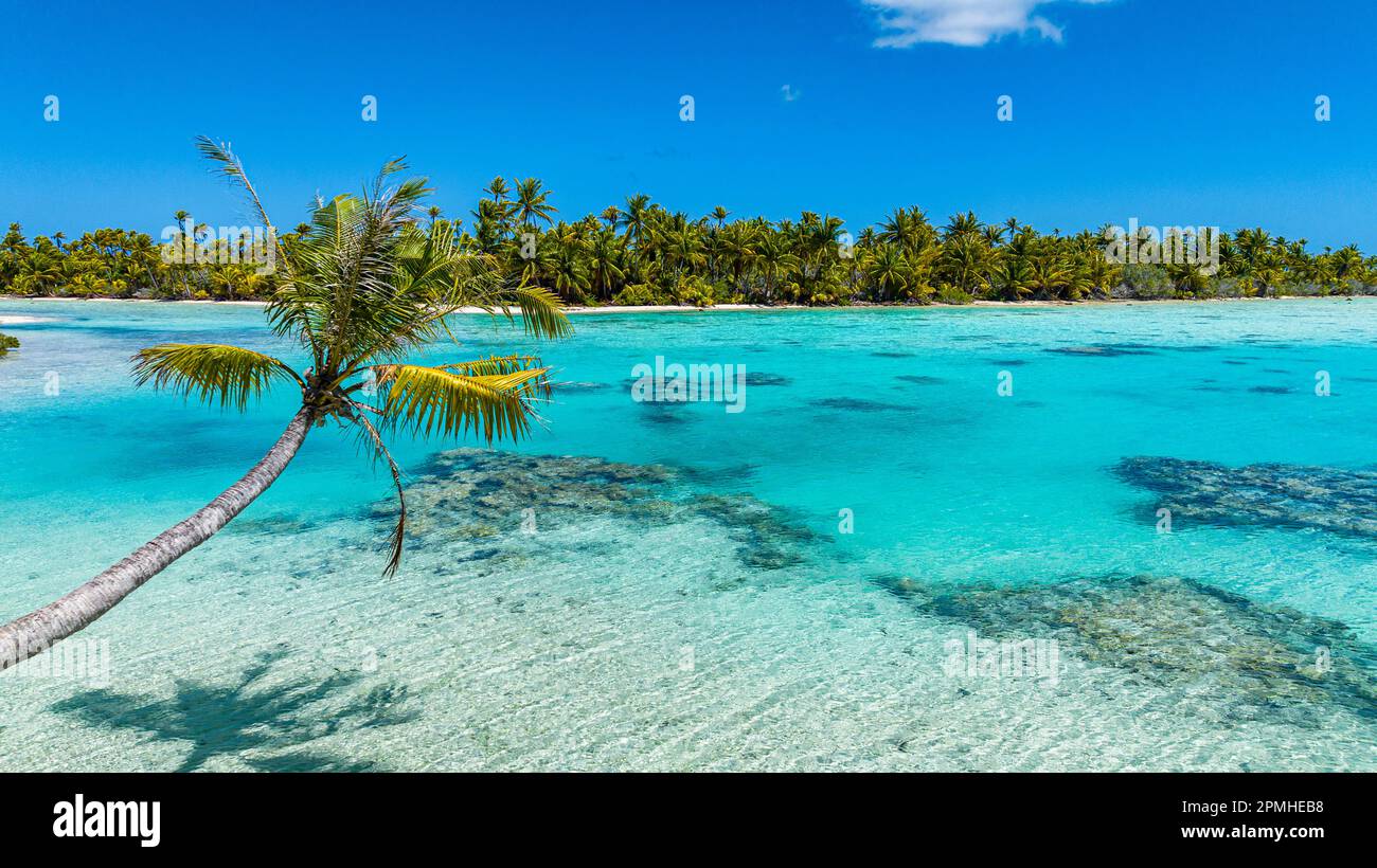 Aerial of the blue lagoon, Fakarava, Tuamotu archipelago, French ...