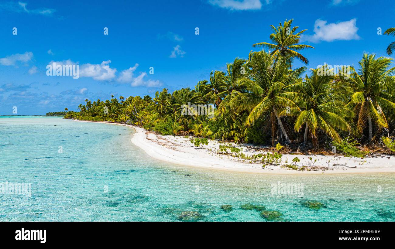Aerial of the blue lagoon, Fakarava, Tuamotu archipelago, French ...