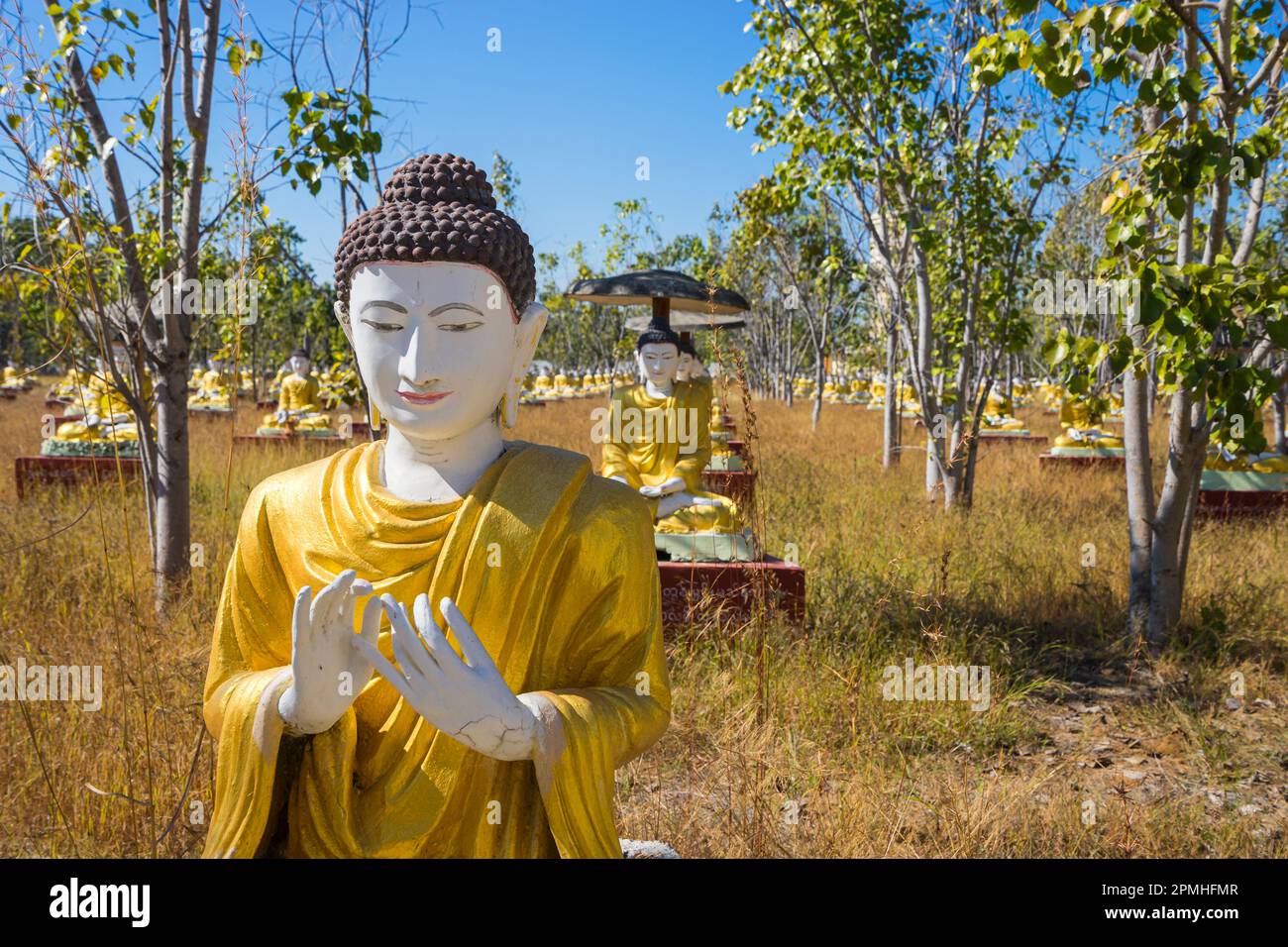 Garden of Thousand Buddhas, Monywa, Myanmar (Burma), Asia Stock Photo ...