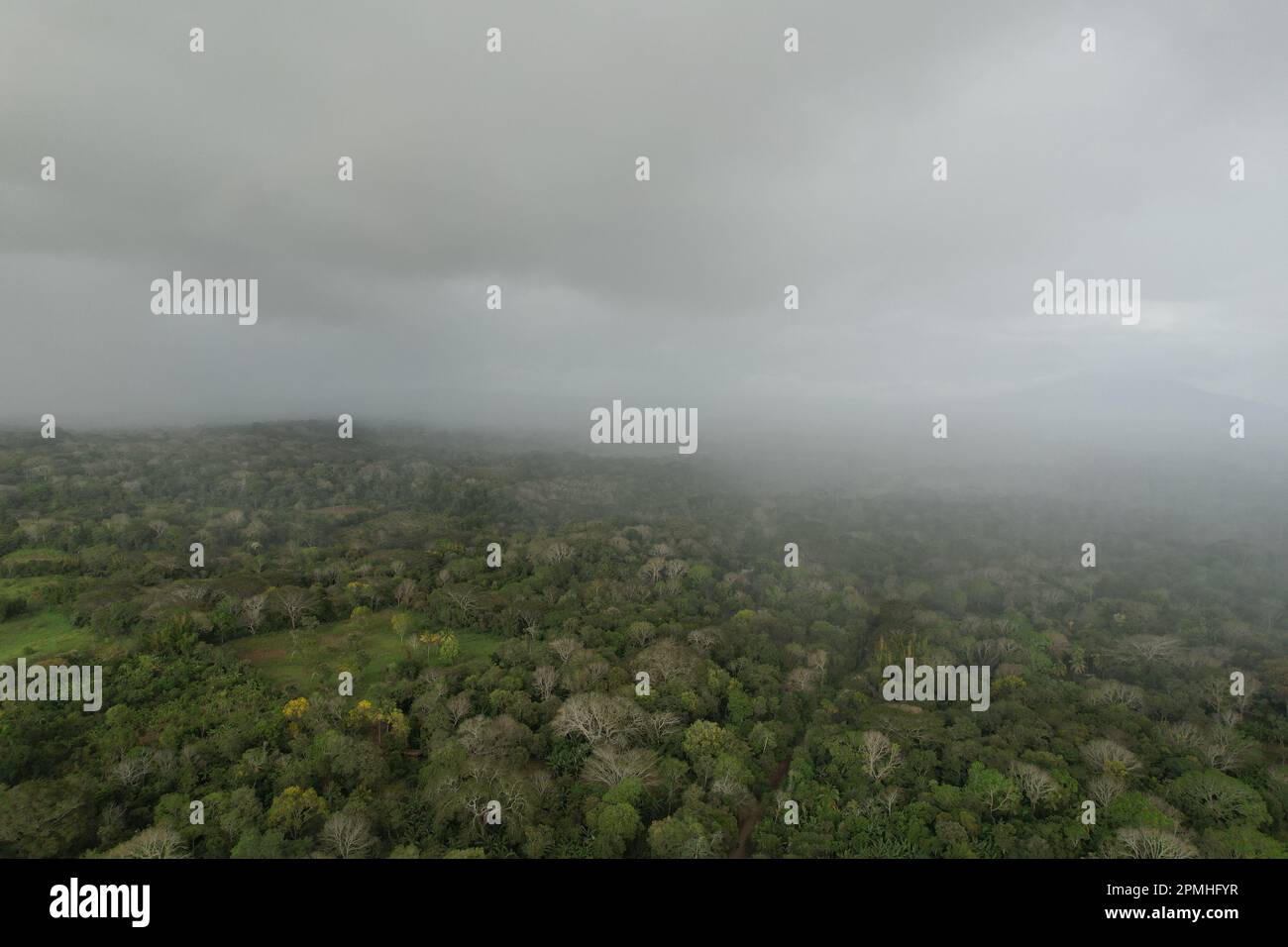 Rain weather theme. quick moving rain cloud over forest Stock Photo - Alamy