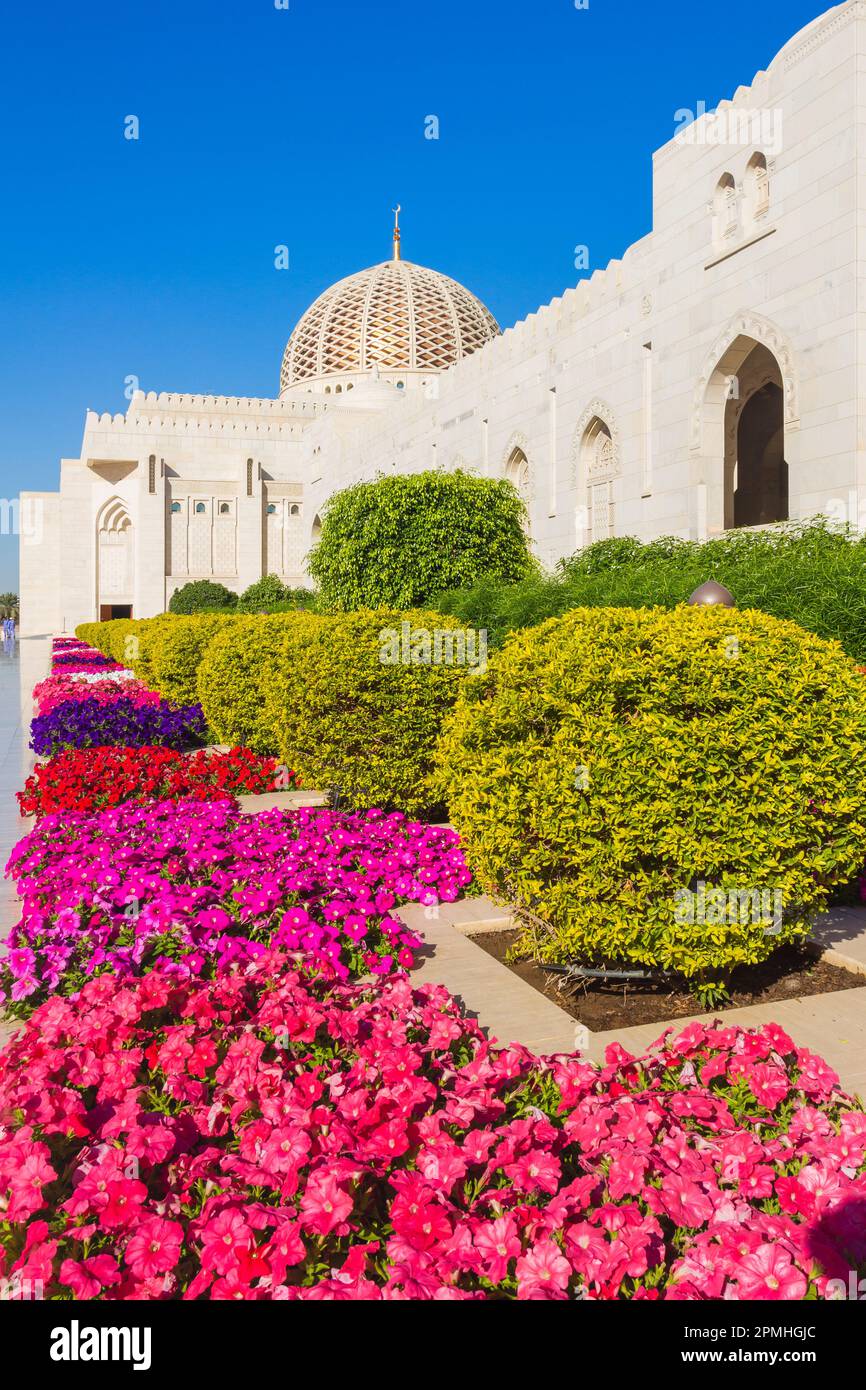 Flowers and dome of Sultan Gaboos Grand Mosque, Muscat, Oman, Middle ...
