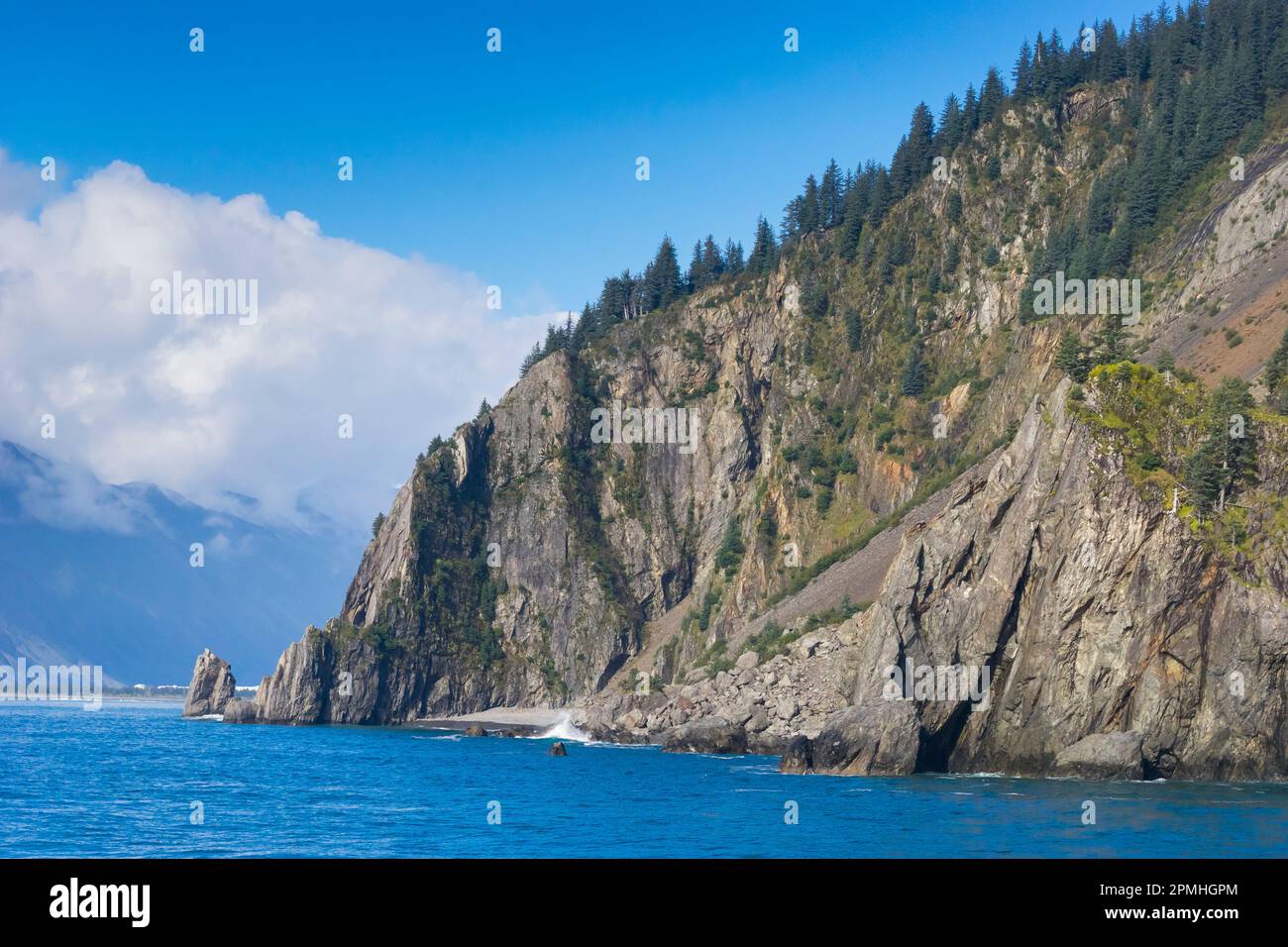 Trees on rock at Resurrection Bay, Seward, Kenai Peninsula Borough ... Trees on rock at Resurrection Bay, Seward, Kenai Peninsula Borough ...
