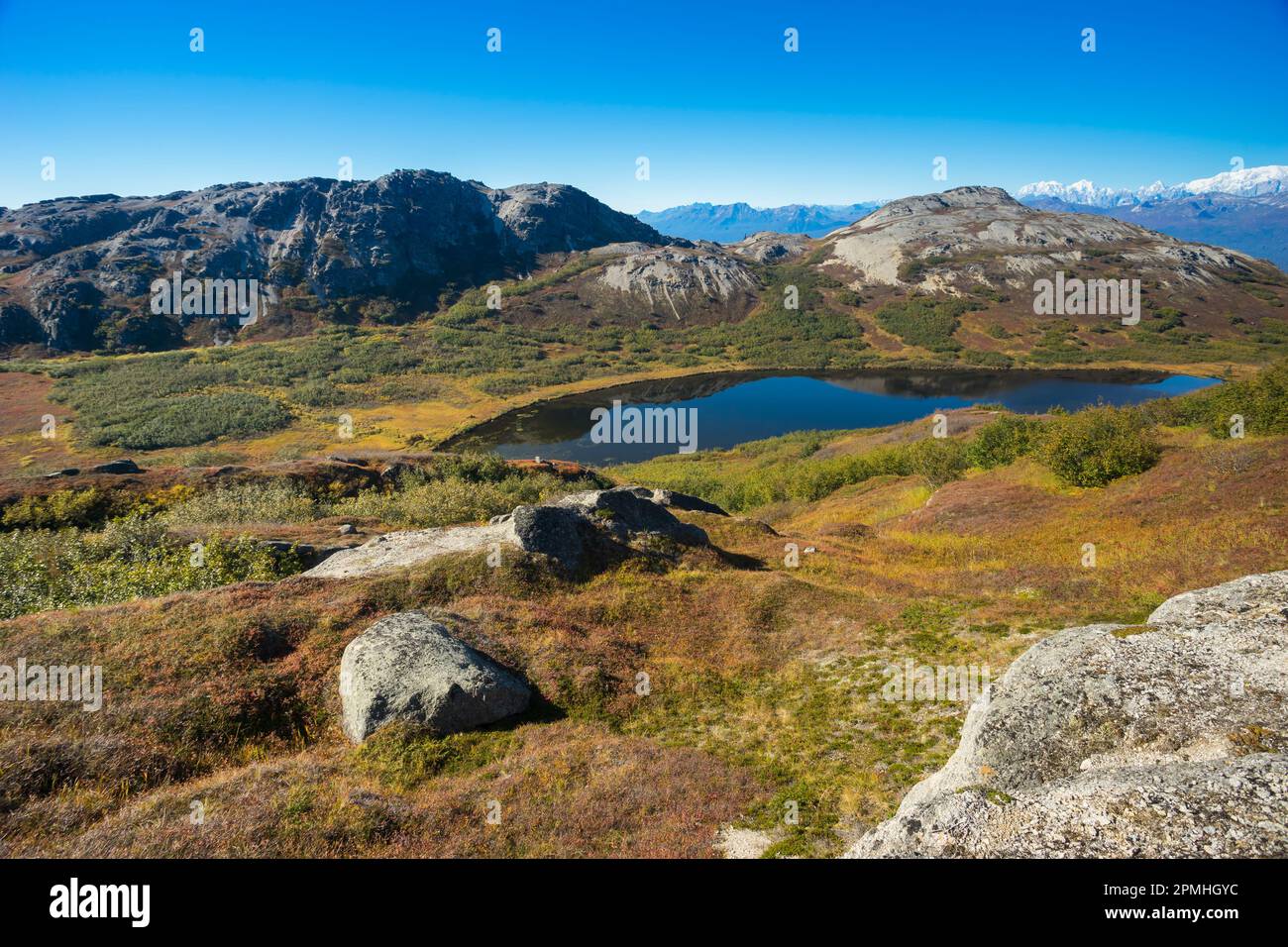 Small lake with Alaska Range in background, seen from K'esugi Ridge ...