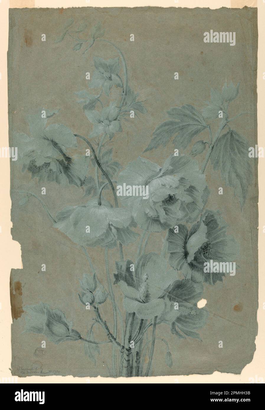 Drawing, Floral Design; France; black, white, and taupe crayon, brush ...
