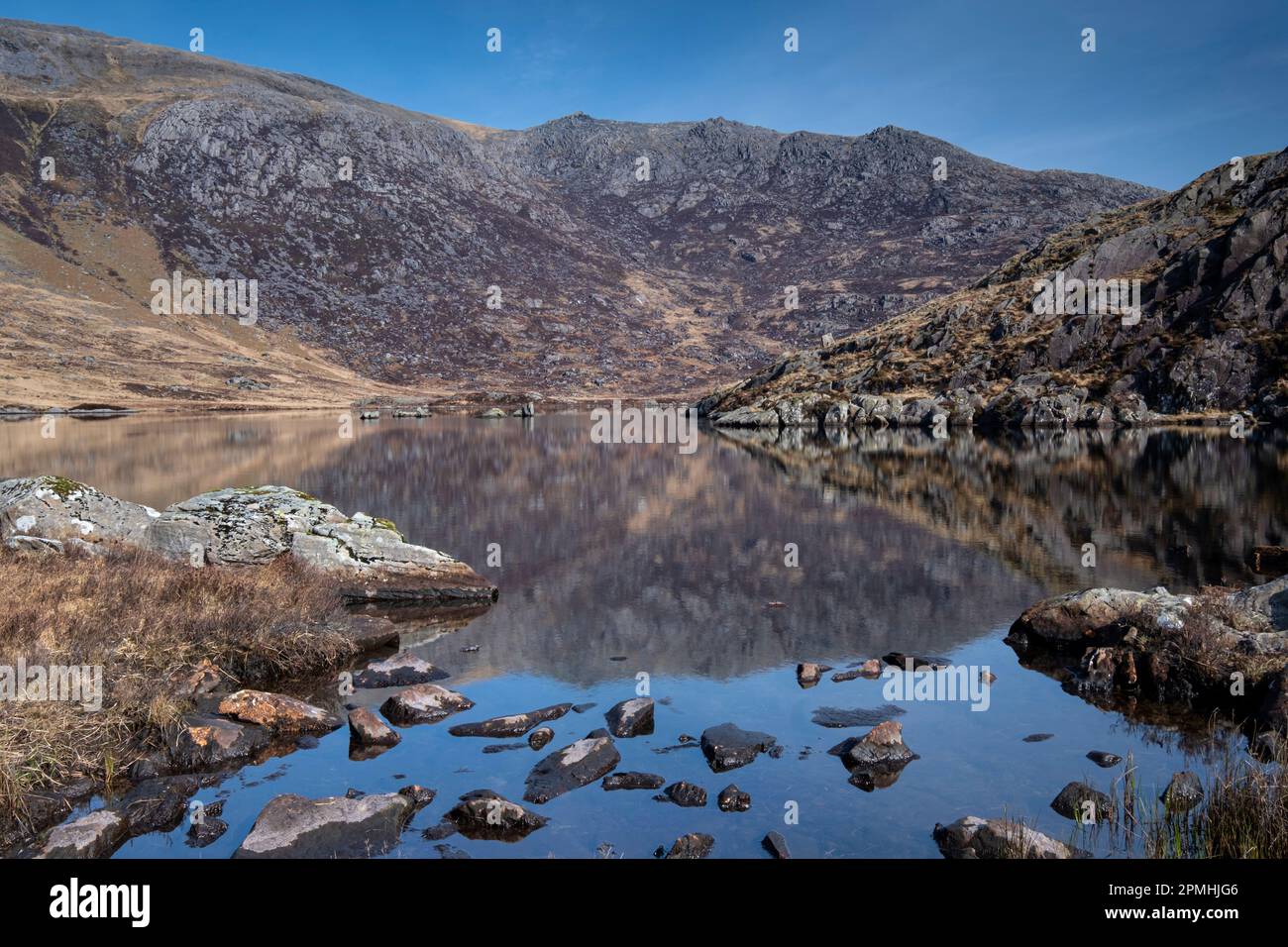 Glader hi-res stock photography and images - Alamy