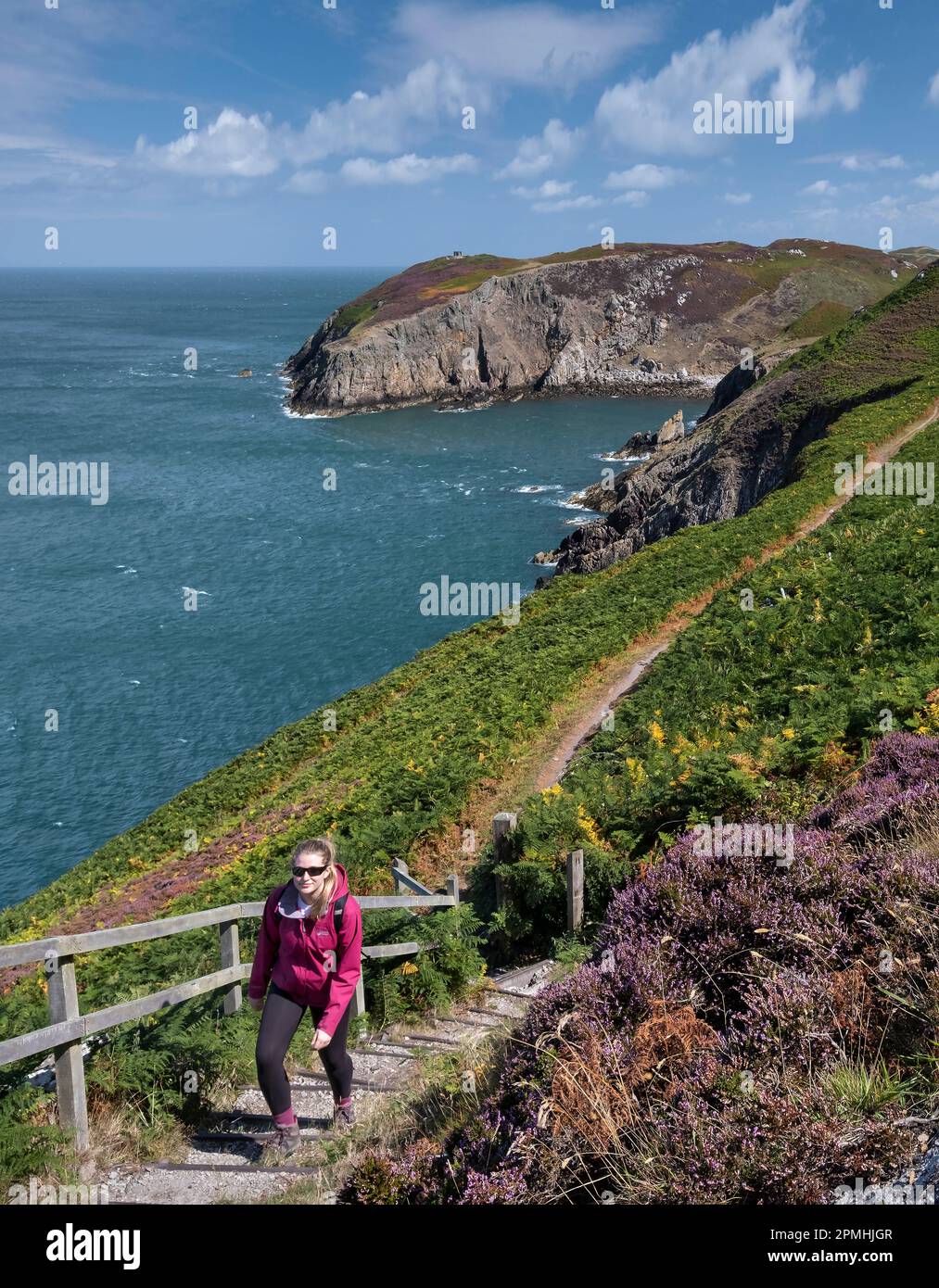 Walking grass path summer uk high hi-res stock photography and images ...
