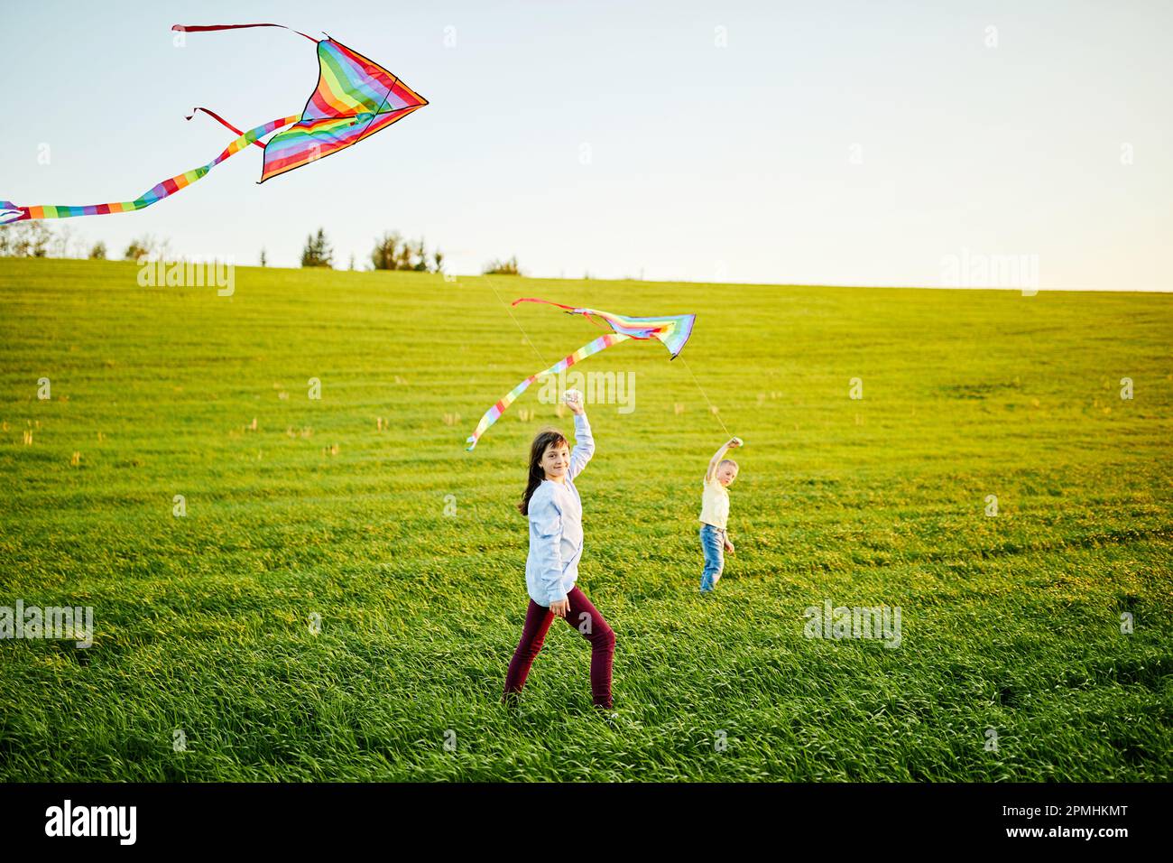 Happy children launch a kite in the field. Little boy and girl on ...