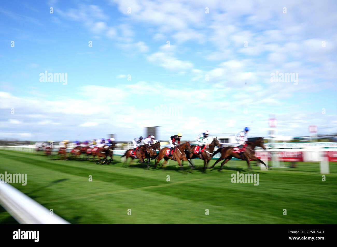 Runners and riders in the Goffs UK Nickel Coin Mares' Standard Open ...