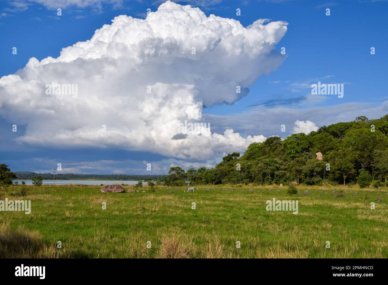 Lake Chivero nature reserve in Zimbabwe, 2018 Stock Photo - Alamy