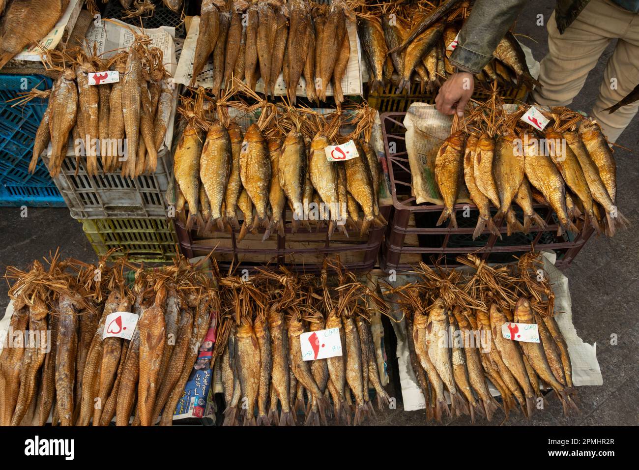 Gilan Province- Rasht IRAN-April 9, 2023 Salty fishes with prices at ...