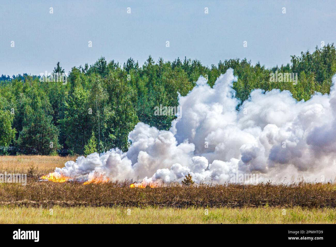 A strong fire in the field, burning grass and thick white smoke Stock ...