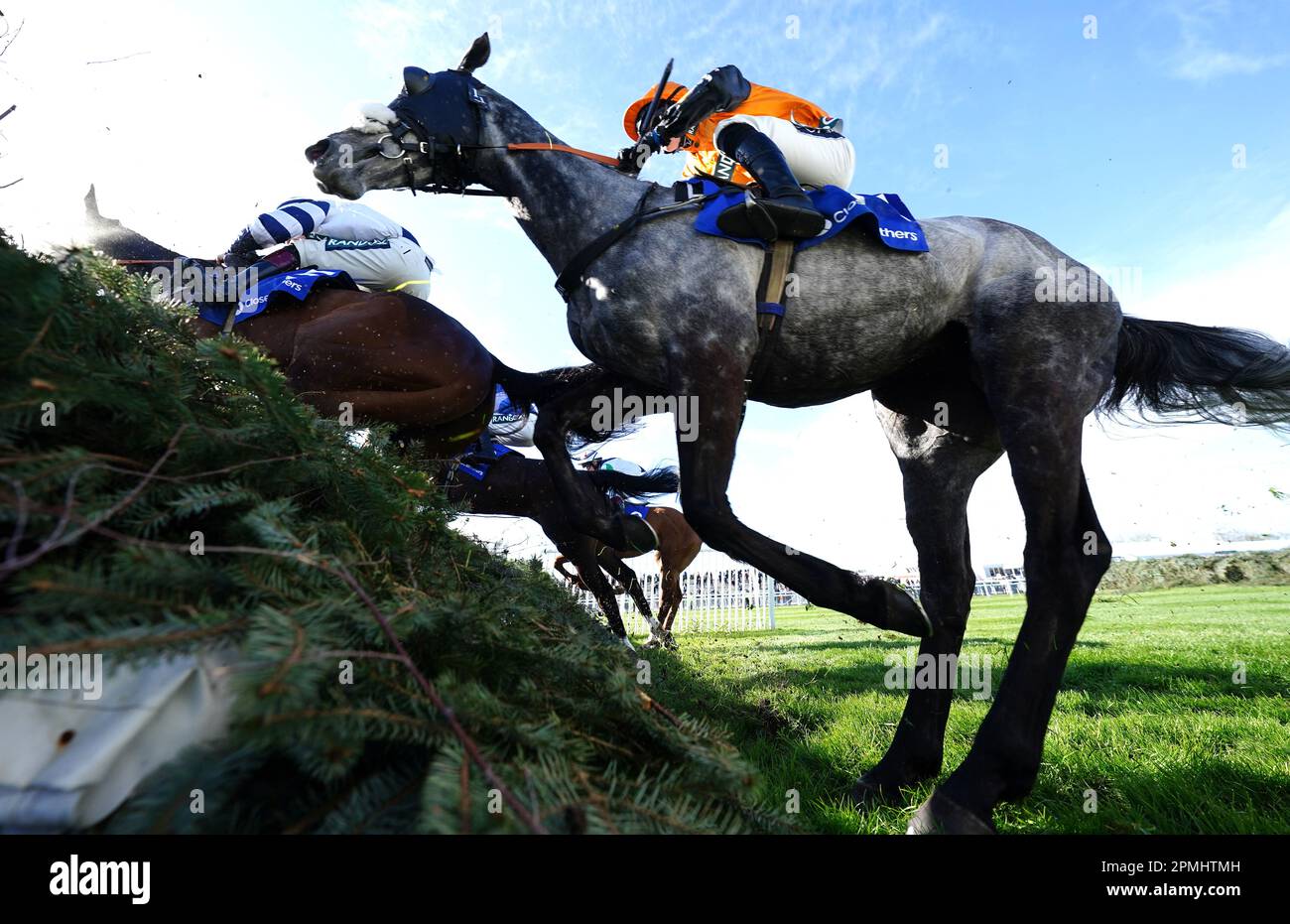 Hasankey racecourse hi-res stock photography and images - Alamy