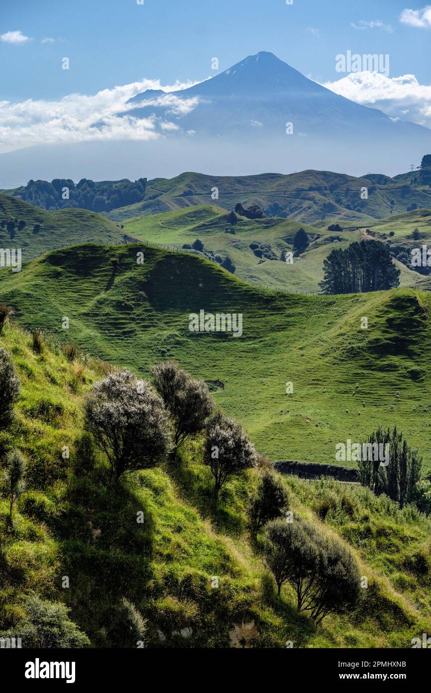 Strathmore hi-res stock photography and images - Alamy