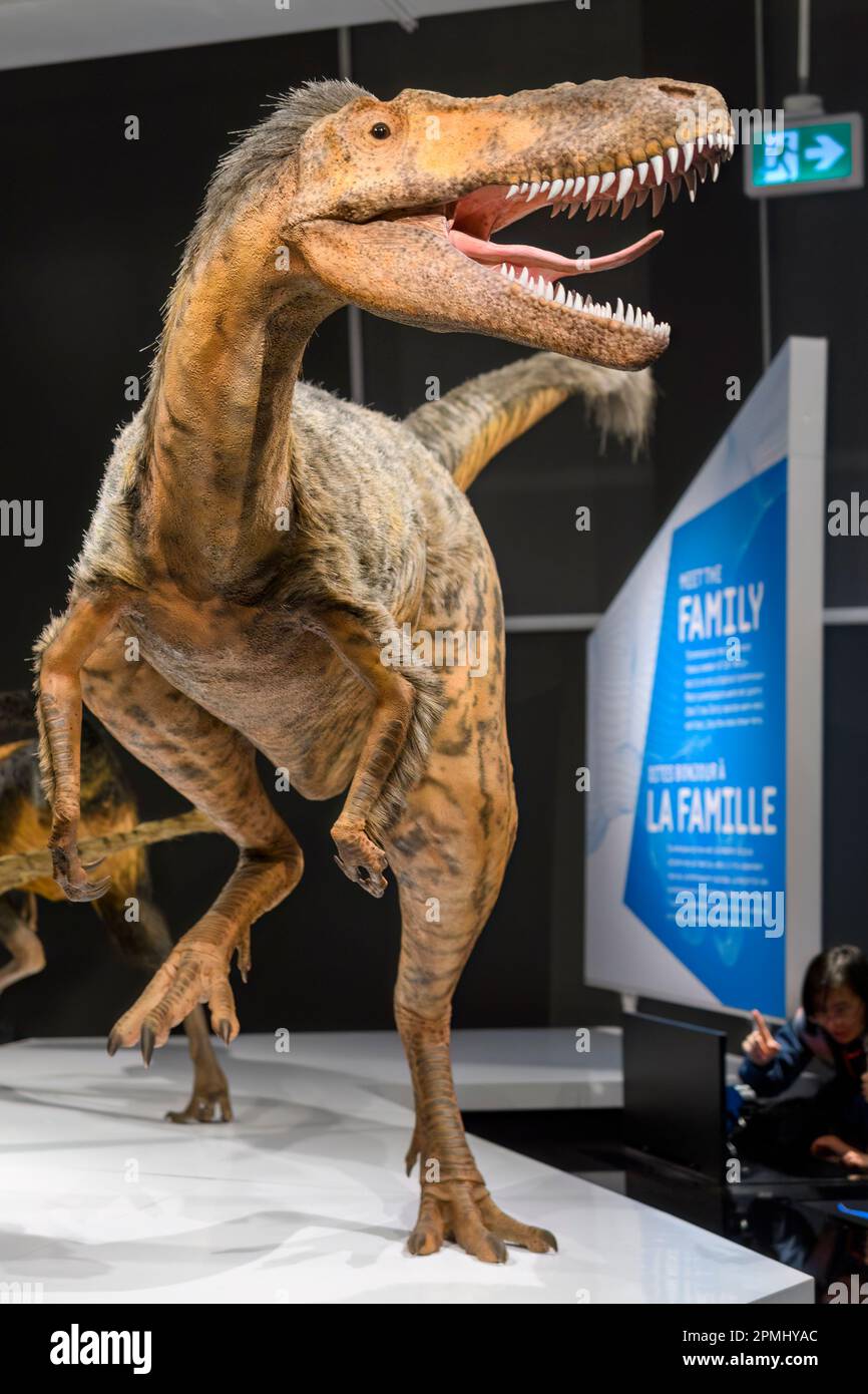 Full length of the animal. Detail of a young Tyrannosaurus Rex dinosaur ...