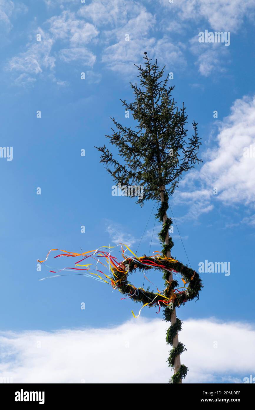 Ribbon maypole hi-res stock photography and images - Alamy