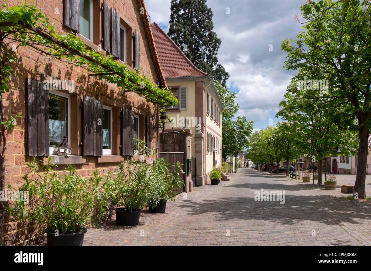 Historic Theresienstrasse in Rhodt unter Rietburg Stock Photo - Alamy