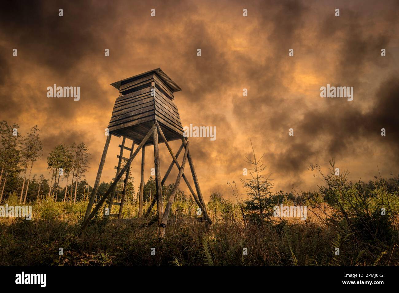 Observatory tower for forest fire control Stock Photo - Alamy