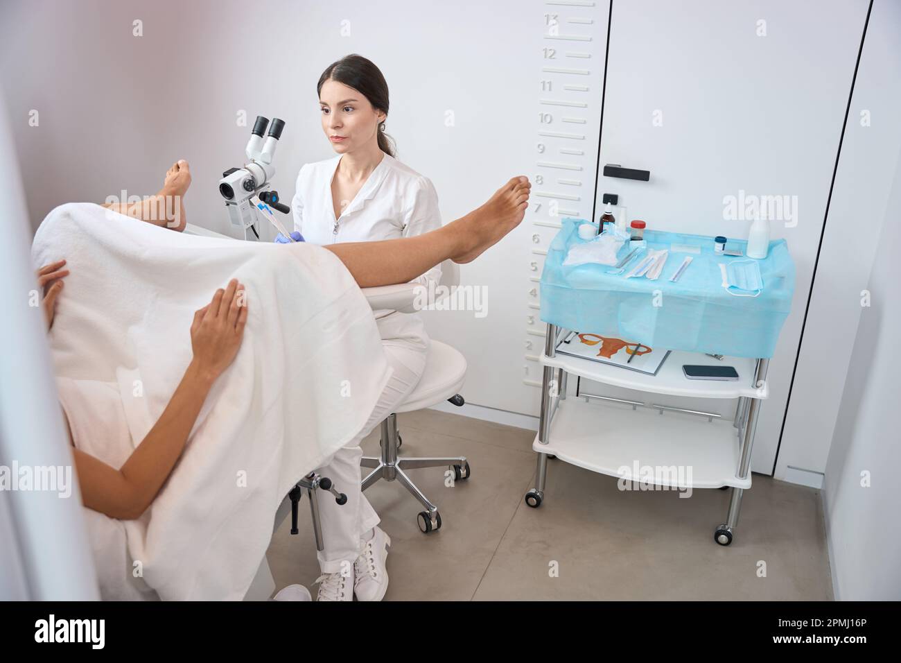 Female genital organs hi-res stock photography and images - Alamy